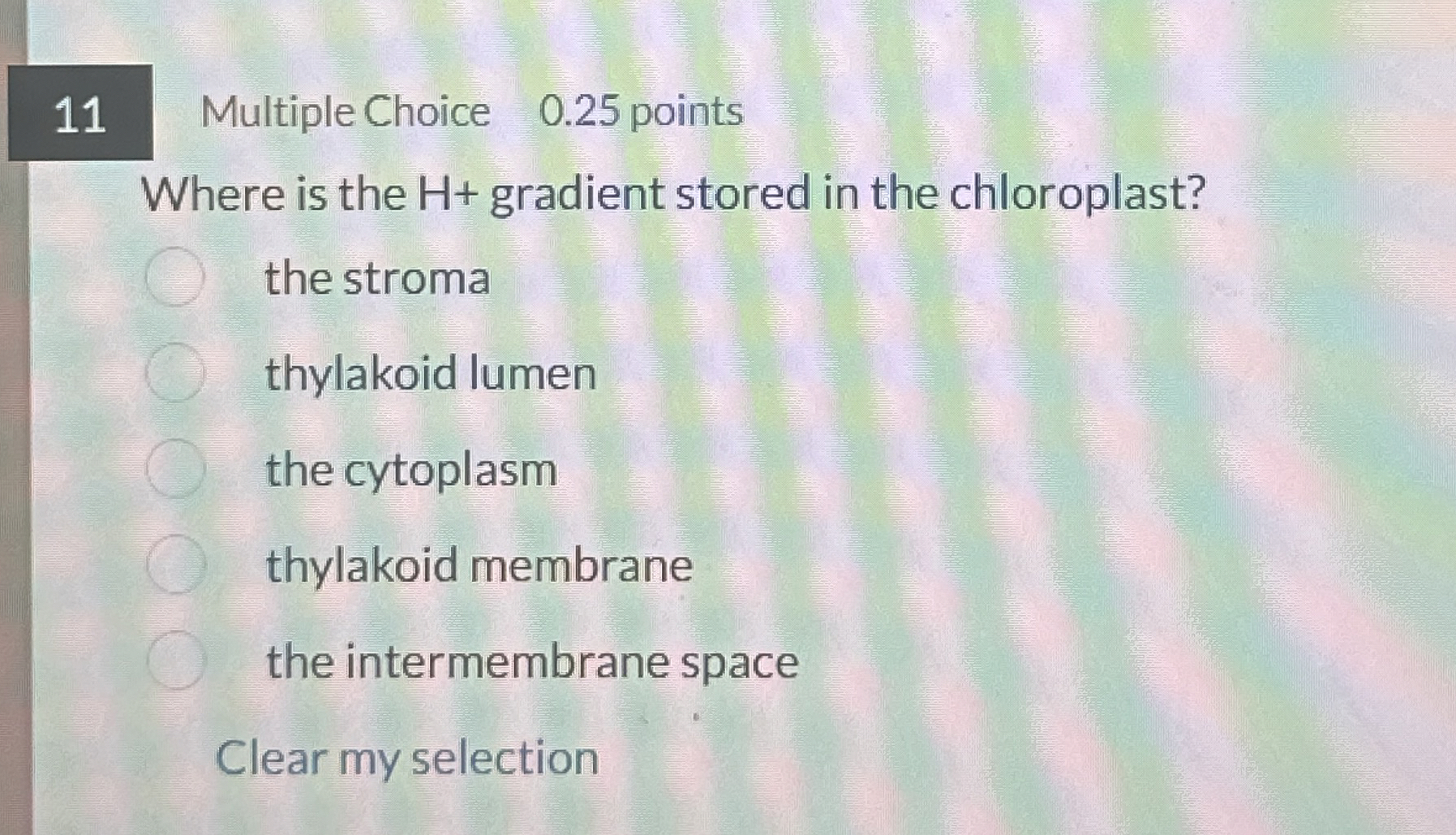 Solved 11 ﻿Multiple Choice 0.25 ﻿pointsWhere is the H+ | Chegg.com
