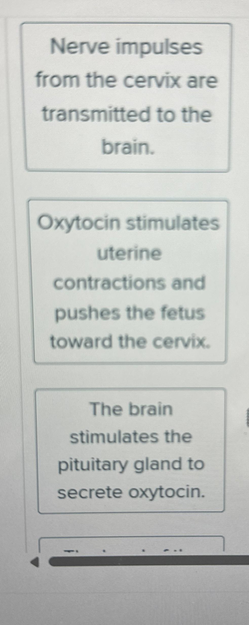 Solved Nerve impulses from the cervix are transmitted to the | Chegg.com
