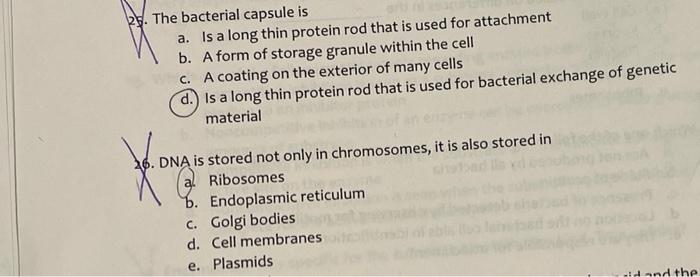 Solved The bacterial capsule is a. Is a long thin protein | Chegg.com