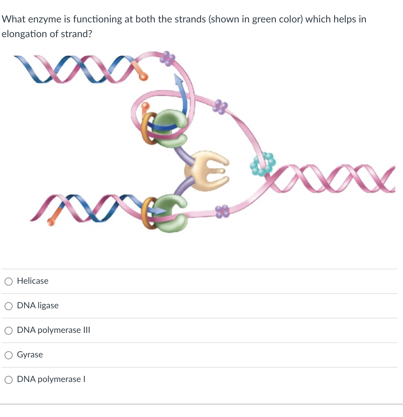 Solved What enzyme is functioning at both the strands (shown | Chegg.com