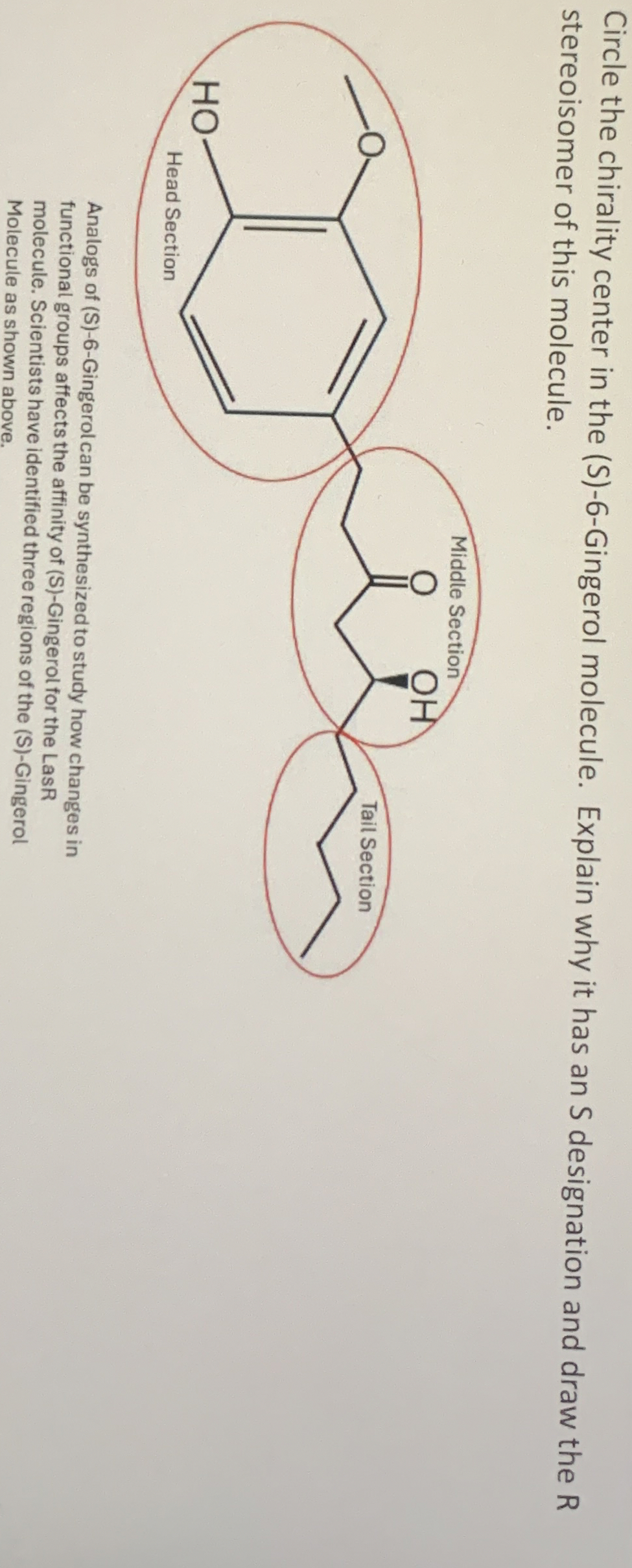 Solved Circle the chirality center in the (S)-6-Gingerol | Chegg.com