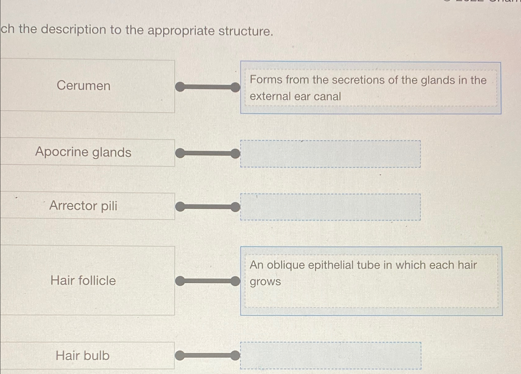 Solved ch the description to the appropriate | Chegg.com