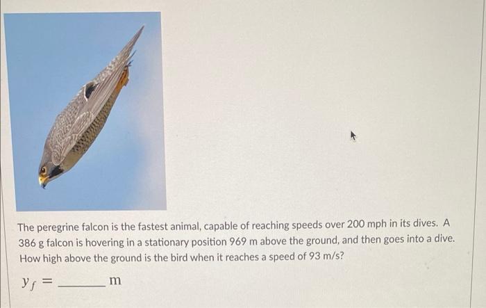 Solved The peregrine falcon is the fastest animal, capable | Chegg.com