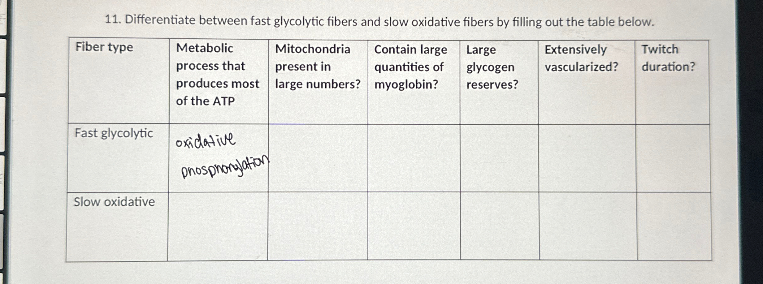 Solved Differentiate between fast glycolytic fibers and slow | Chegg.com