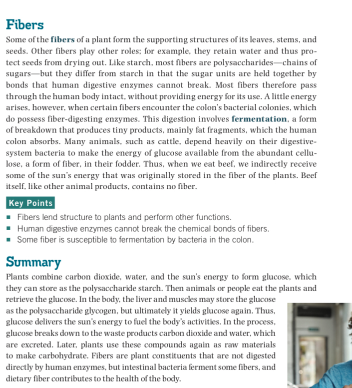 Solved List three benefit to rat fiber explain | Chegg.com