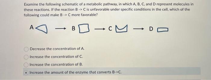 Solved Examine the following schematic of a metabolic | Chegg.com