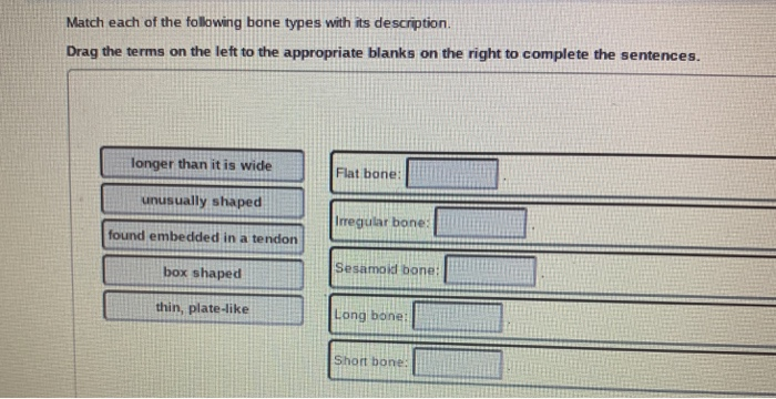 Solved Match each of the following bone types with its | Chegg.com