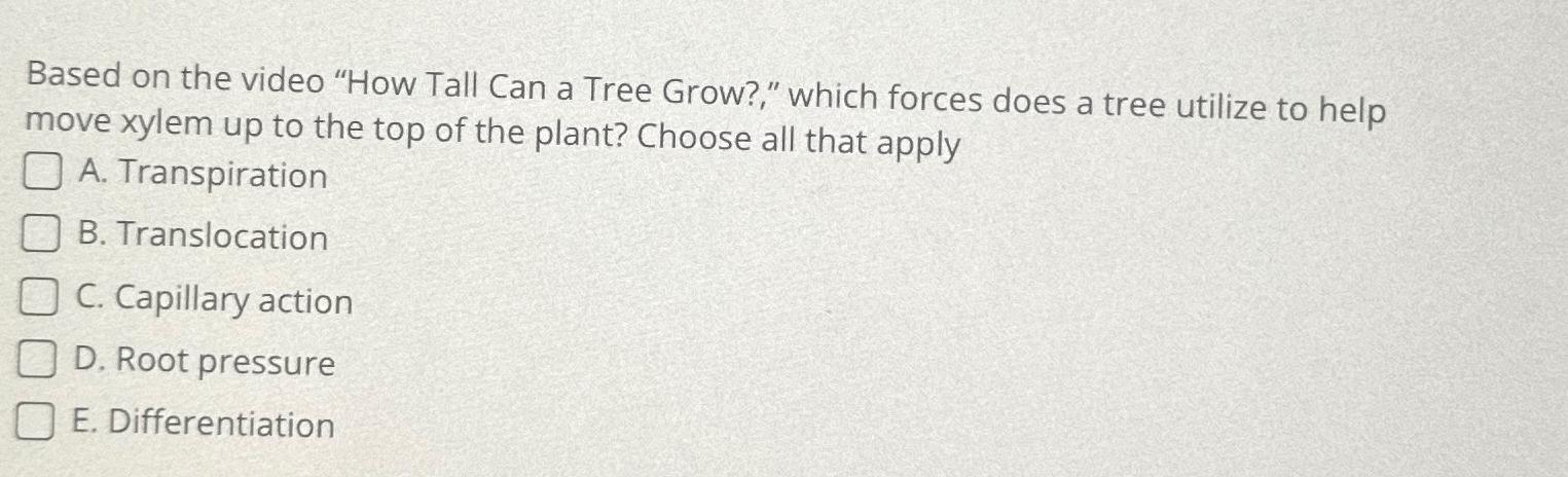 Solved Based on the video "How Tall Can a Tree Grow?," which | Chegg.com