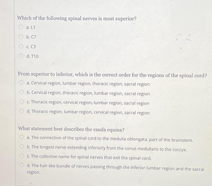 Solved Which of the meninges is the deepest, closest to the | Chegg.com