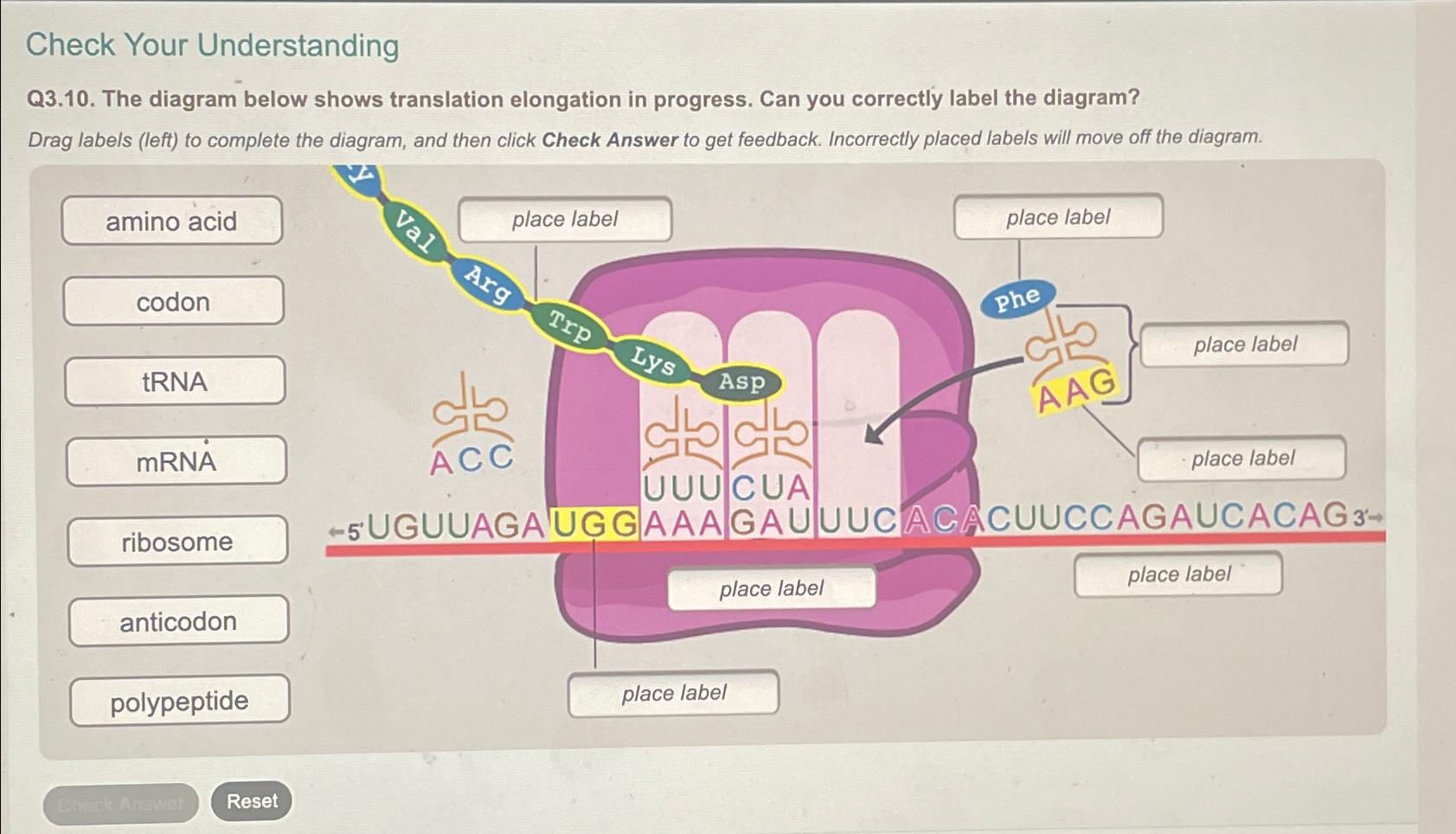 Solved Check Your UnderstandingQ3.10. ﻿The diagram below | Chegg.com