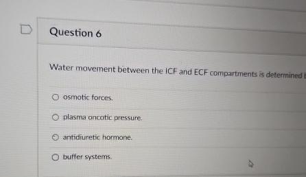 Solved Question 6Water movement between the ICF and ECF | Chegg.com