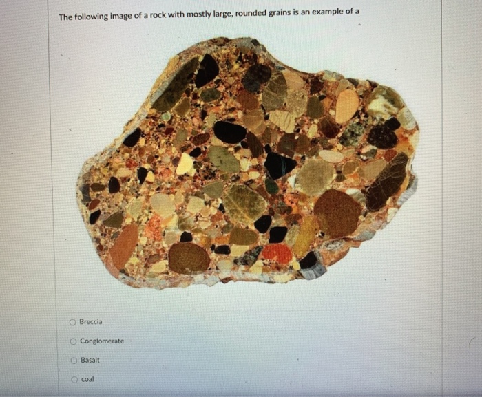 Solved The following image of a rock with mostly large, | Chegg.com