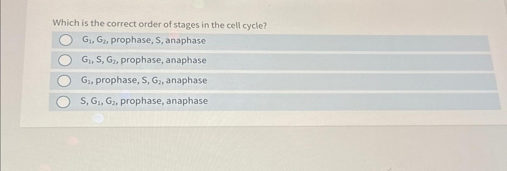 Solved Which is the correct order of stages in the cell | Chegg.com
