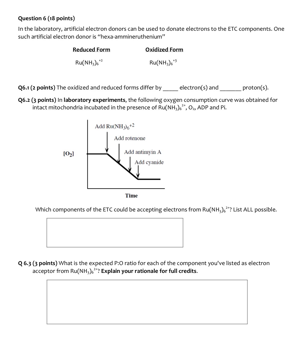 Solved Question 6 (18 ﻿points)In the laboratory, artificial | Chegg.com