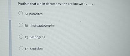 Solved Protists that aid in decomposition are known 35A) | Chegg.com