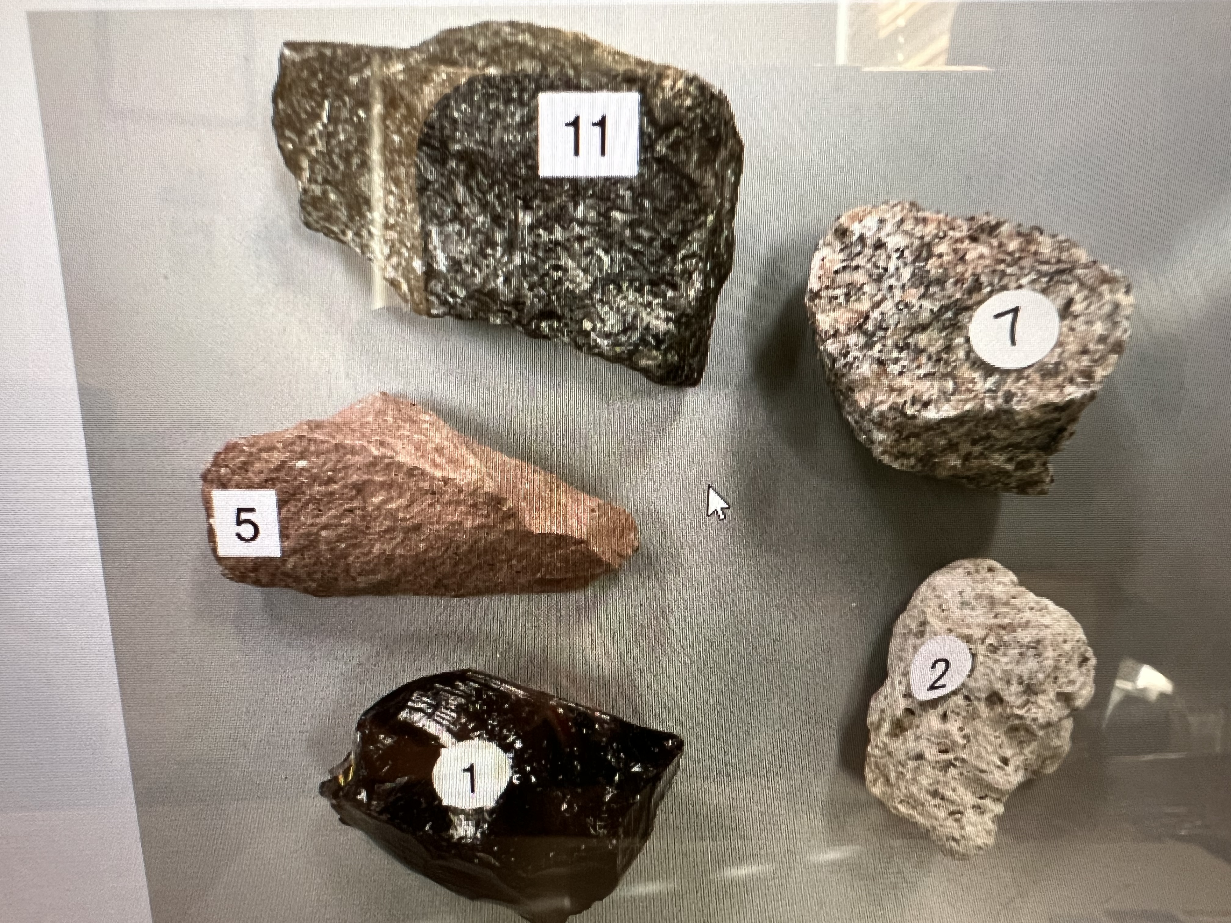 Solved What are the name of those samples and theit sample | Chegg.com