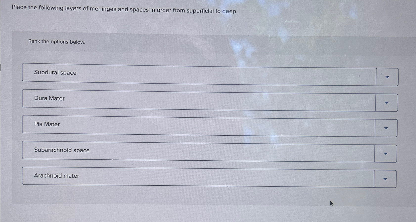 Solved Place the following layers of meninges and spaces in | Chegg.com