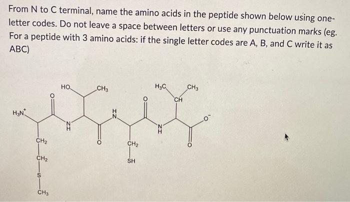 Solved From N to C terminal, name the amino acids in the | Chegg.com