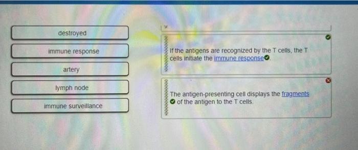 Solved Ret Click and drag the terms on the left to | Chegg.com