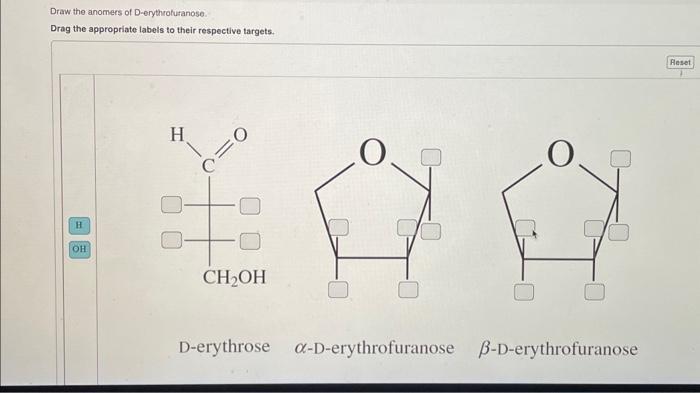 Solved Draw the anomers of D-erythroturanose Drag the | Chegg.com