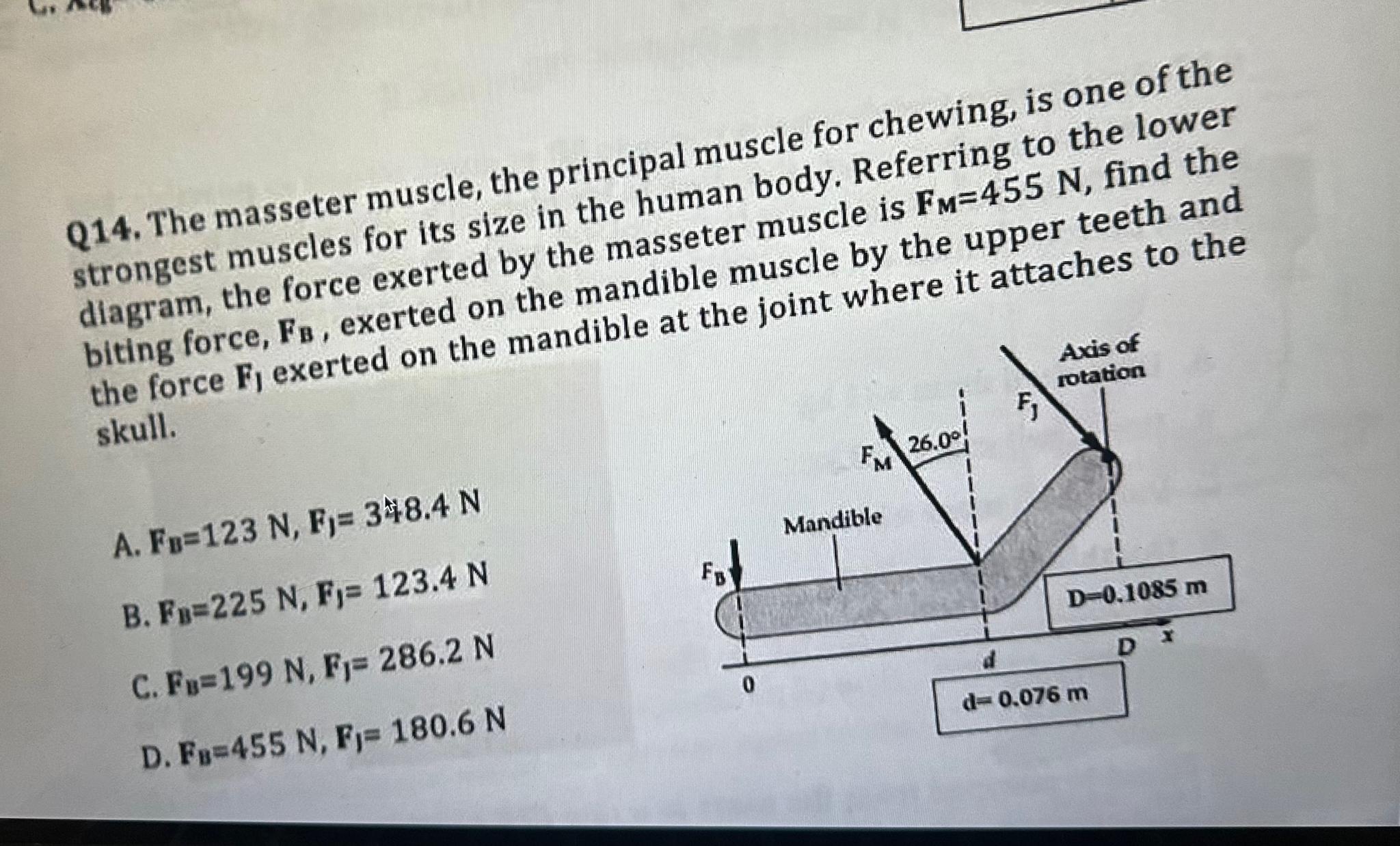 Solved Q14. ﻿The masseter muscle, the principal muscle for | Chegg.com