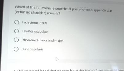 Solved Which of the following is superficial posterior | Chegg.com