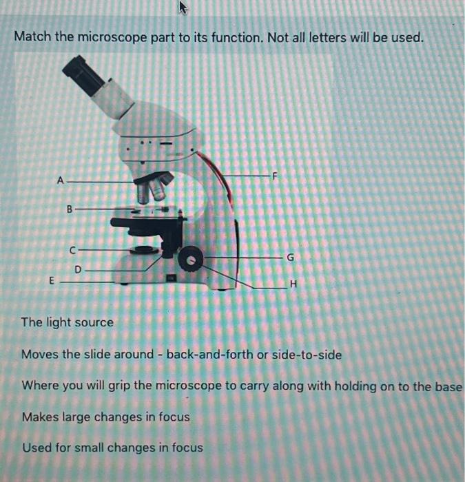 Solved Match the microscope part to its function. Not all | Chegg.com