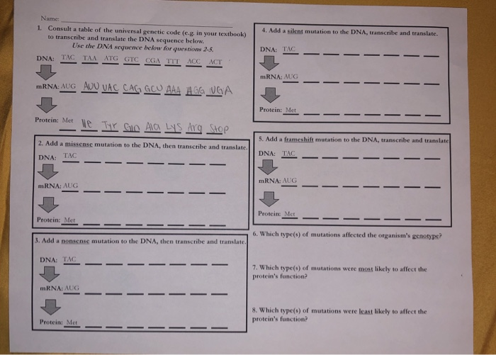 Solved BIO 1570: le operon worksheet Instructions: Use the | Chegg.com