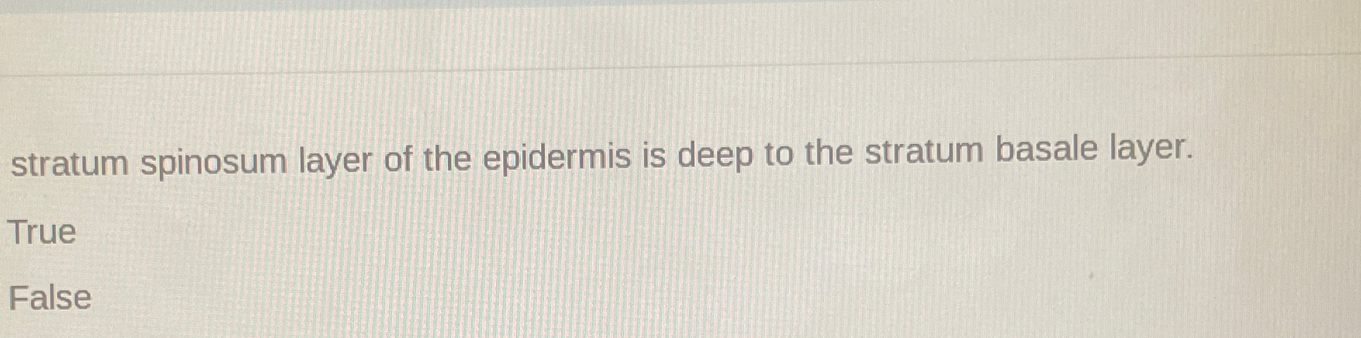 Solved stratum spinosum layer of the epidermis is deep to | Chegg.com