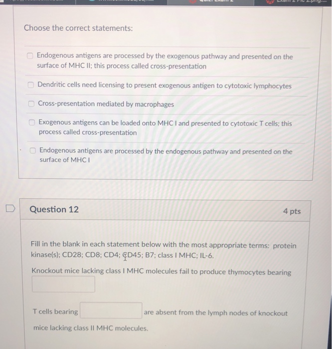 Solved Choose the correct statements: Endogenous antigens | Chegg.com