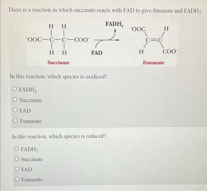 Solved There is a reaction in which succinate reacts with | Chegg.com
