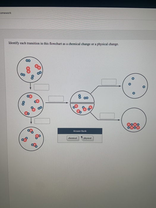 Solved omework Identify each transition in this flowchart as | Chegg.com