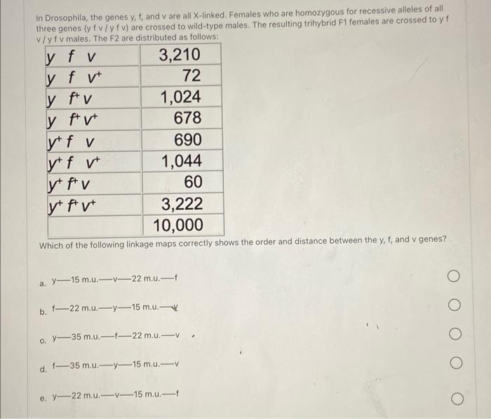 Solved In Drosophila, the genes y,f, and v are all x-linked. | Chegg.com