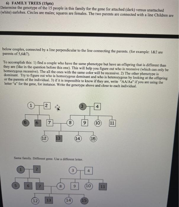 Solved 6) FAMILY TREES (15pts) Determine the genotype of the | Chegg.com