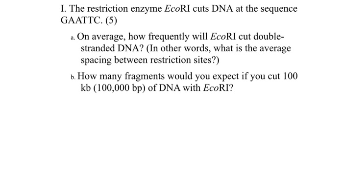 Solved I. The restriction enzyme EcoRI cuts DNA at the | Chegg.com