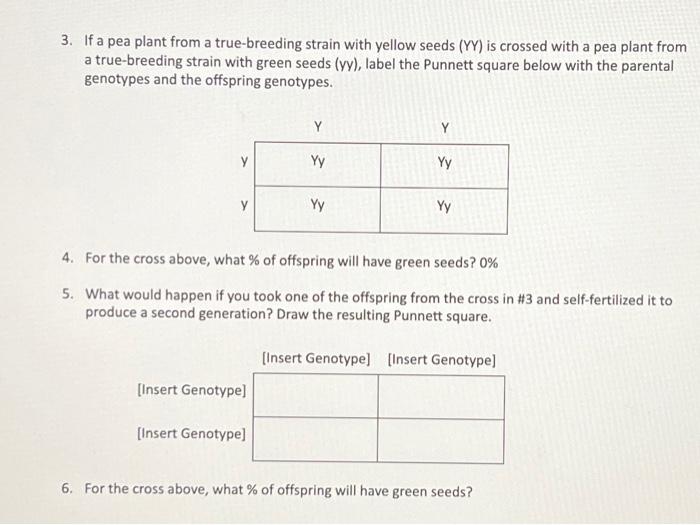 Solved 3. If a pea plant from a true-breeding strain with | Chegg.com