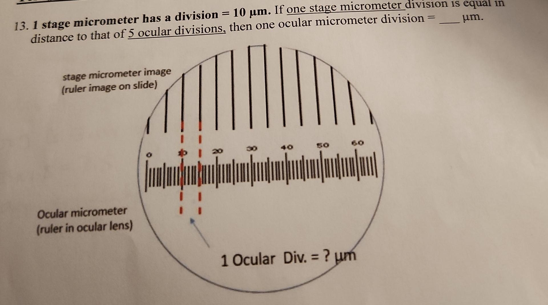 Solved 1 ﻿stage micrometer has a division =10μm. ﻿If one | Chegg.com