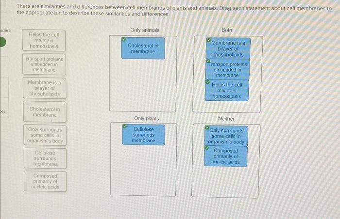 Solved There are similarities and differences between cell | Chegg.com