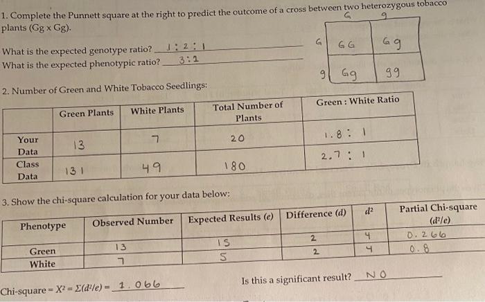 Solved the data is in the the photos*****question: explain | Chegg.com