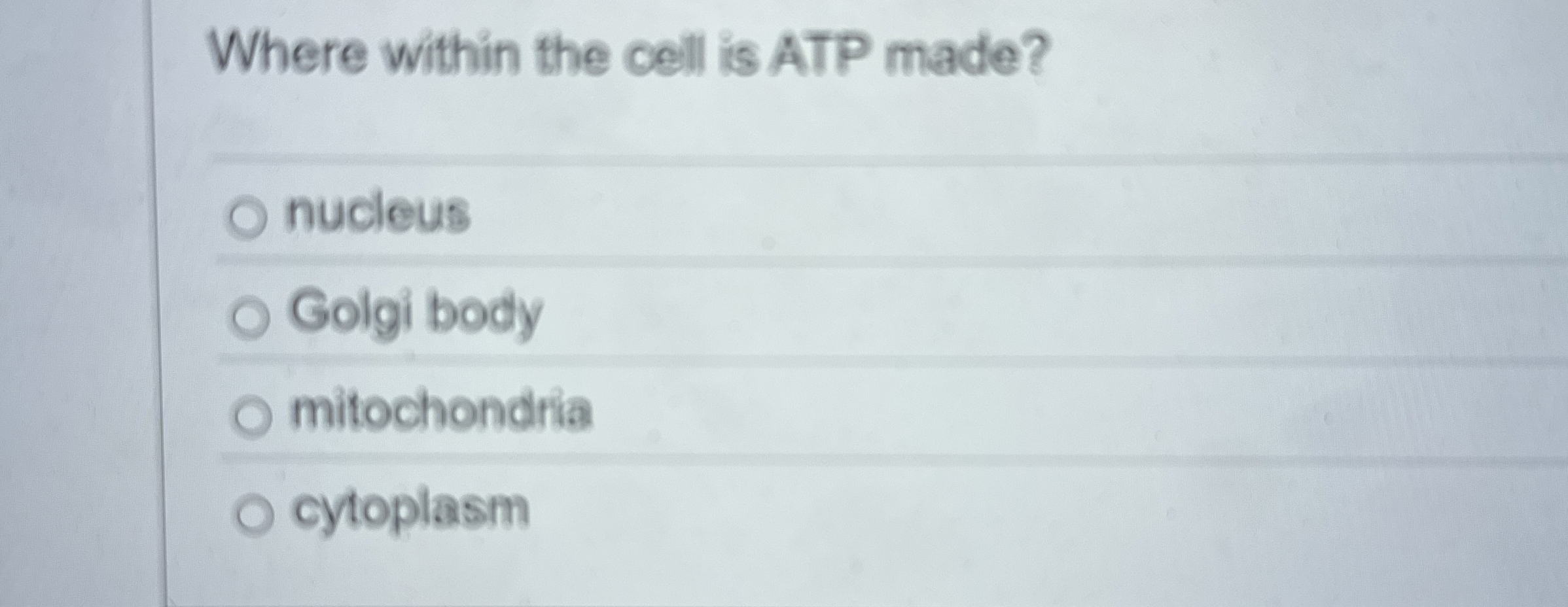 Solved Where within the cell is ATP made?nucleusGolgi | Chegg.com
