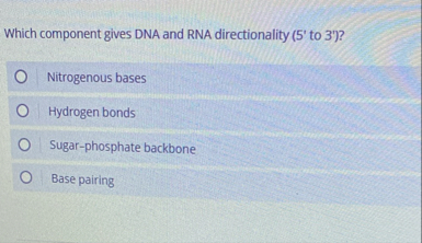 Solved Which component gives DNA and RNA directionality ( 5' | Chegg.com