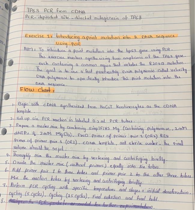 Solved can you do the calculations step by step for the | Chegg.com