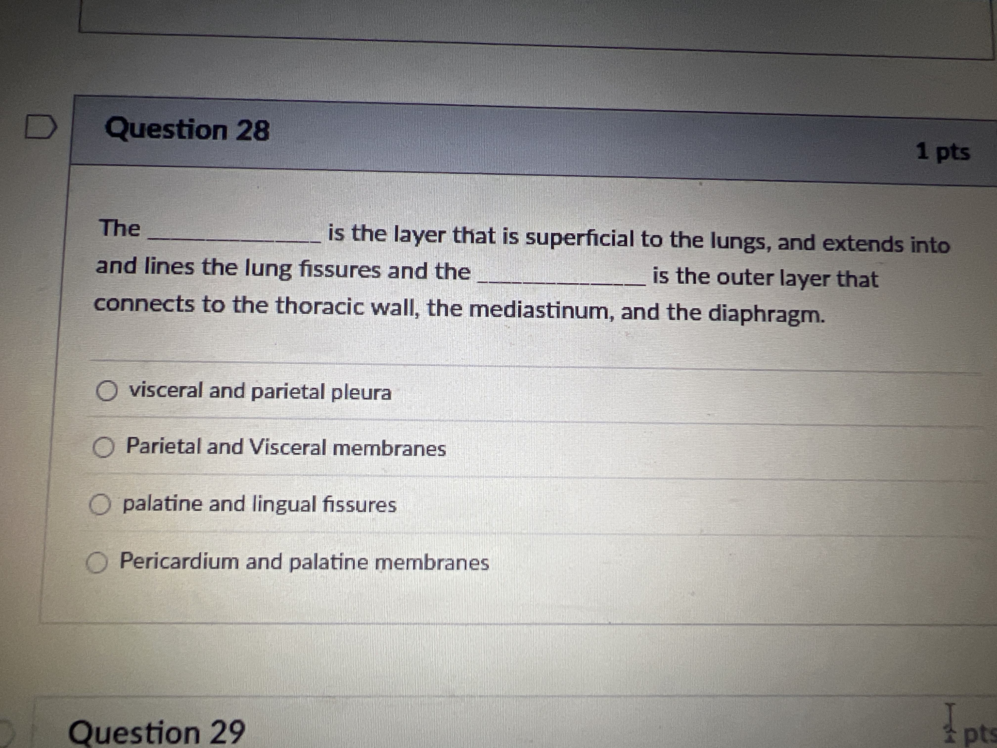 Solved The is the layer that is superficial to the lungs, | Chegg.com