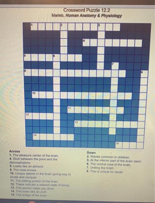 Crossword Puzzle 12.2 Marieb, Human Anatomy & | Chegg.com