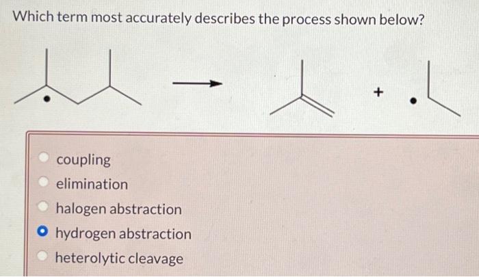 Solved Which term most accurately describes the process | Chegg.com