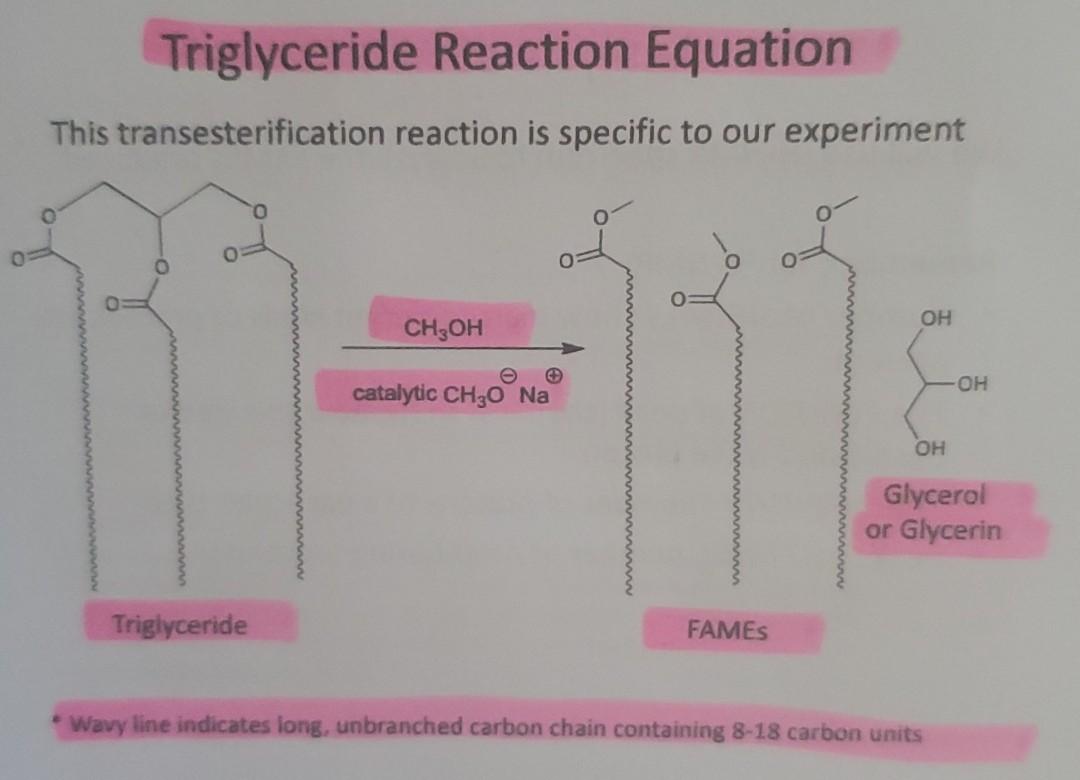 Solved Triglyceride Reaction Equation This | Chegg.com