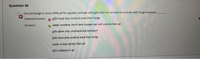 Solved Which of the following MOST accurately describes | Chegg.com