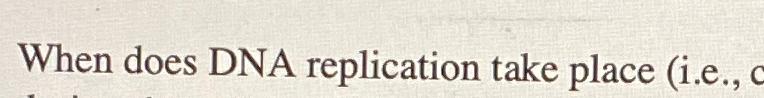 Solved When does DNA replication take place (i.e., | Chegg.com