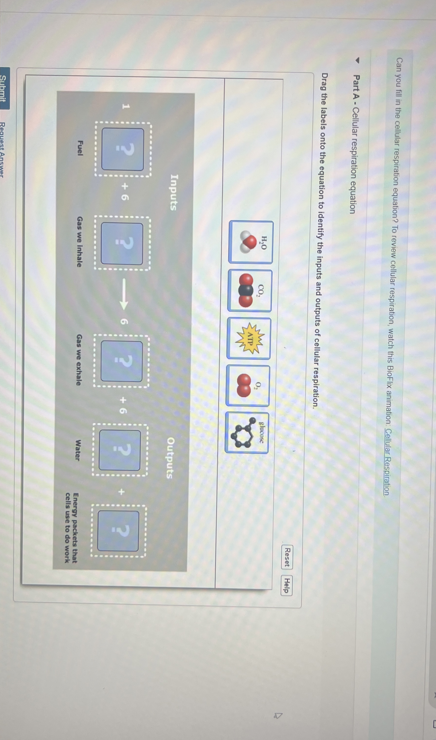 Solved Can you fill in the cellular respiration equation? To | Chegg.com
