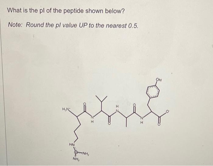 Solved What is the pl of the peptide shown below? Note: | Chegg.com